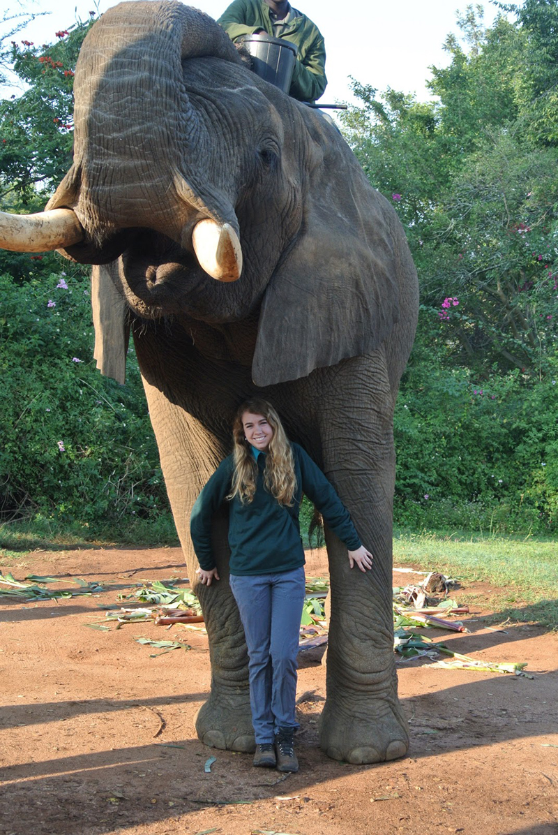 Finding the Big Five: HPU Students Research Exotic Animal Behavior in South Africa | High Point ...