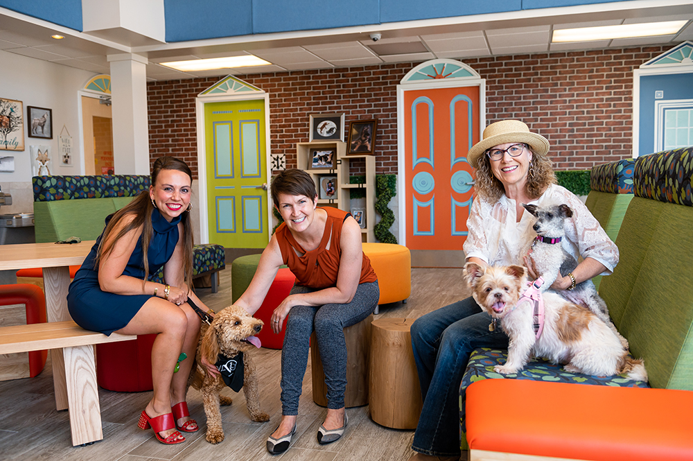 HPU Interior Design Faculty and Alumni Redesign Humane Society Lobby ...
